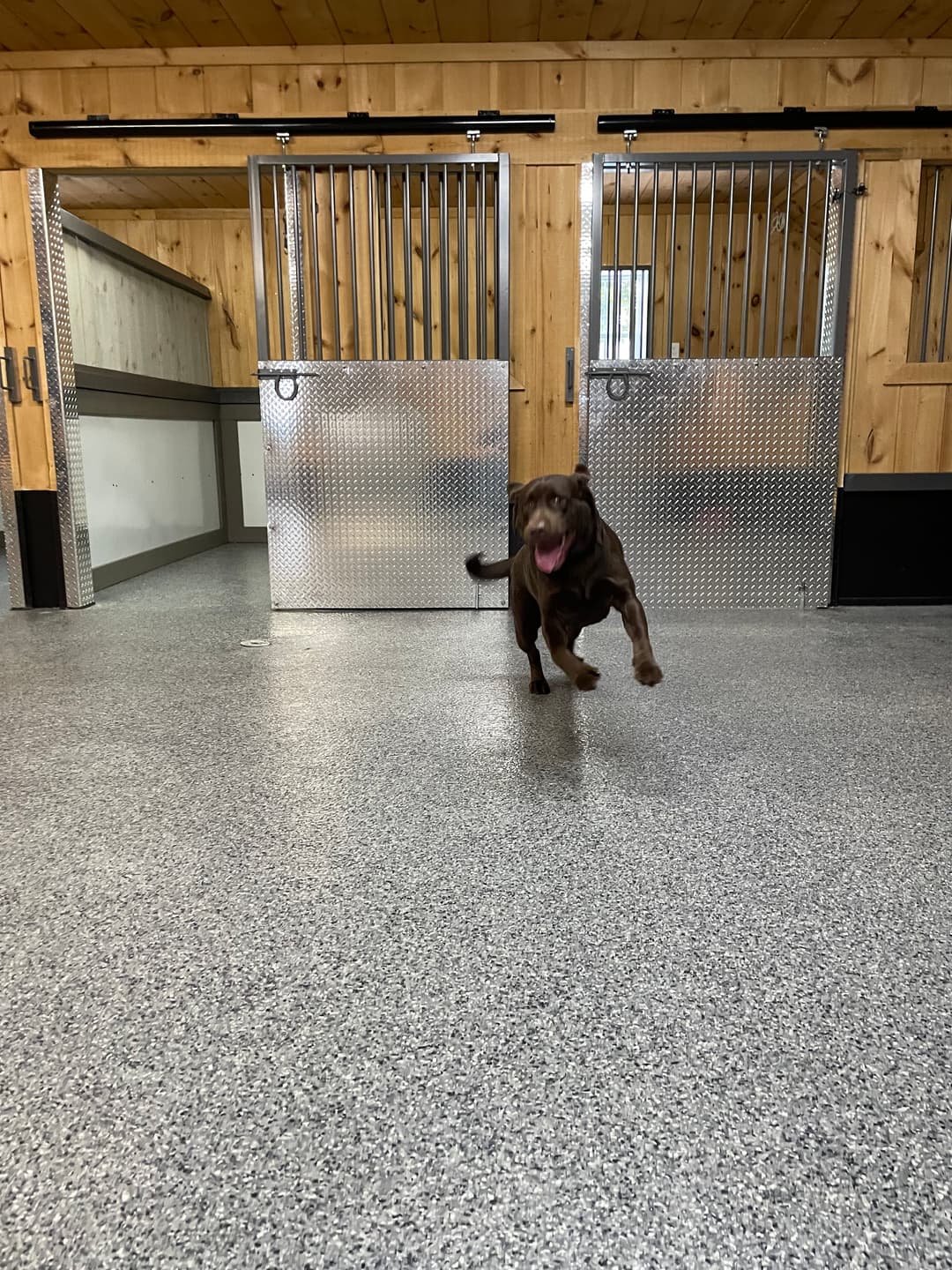 Home - Northside Dog Retreat